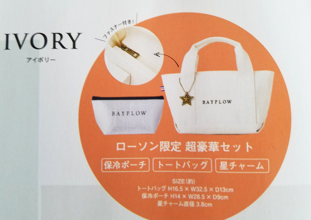 BAYFLOW LOGO TOTE BAG BOOK（ベイフロー ロゴトートバッグブック） 全6色【購入開封レビュー】 | 付録ライフ