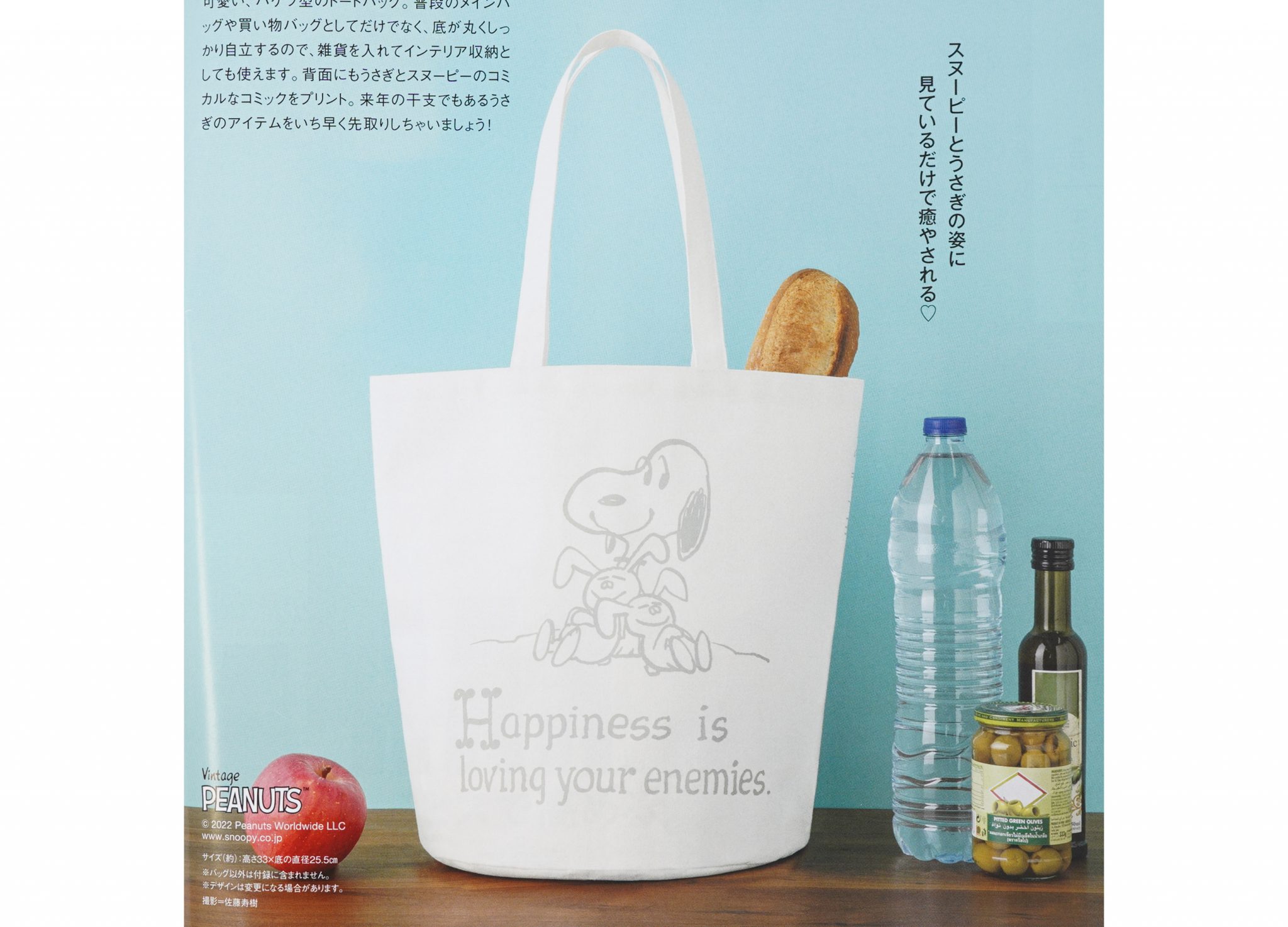 【次号予告】InRed（インレッド）2022年11月号《特別付録》スヌーピー インテリア収納もできる！ 大きめバケツ型バッグ | 付録ライフ