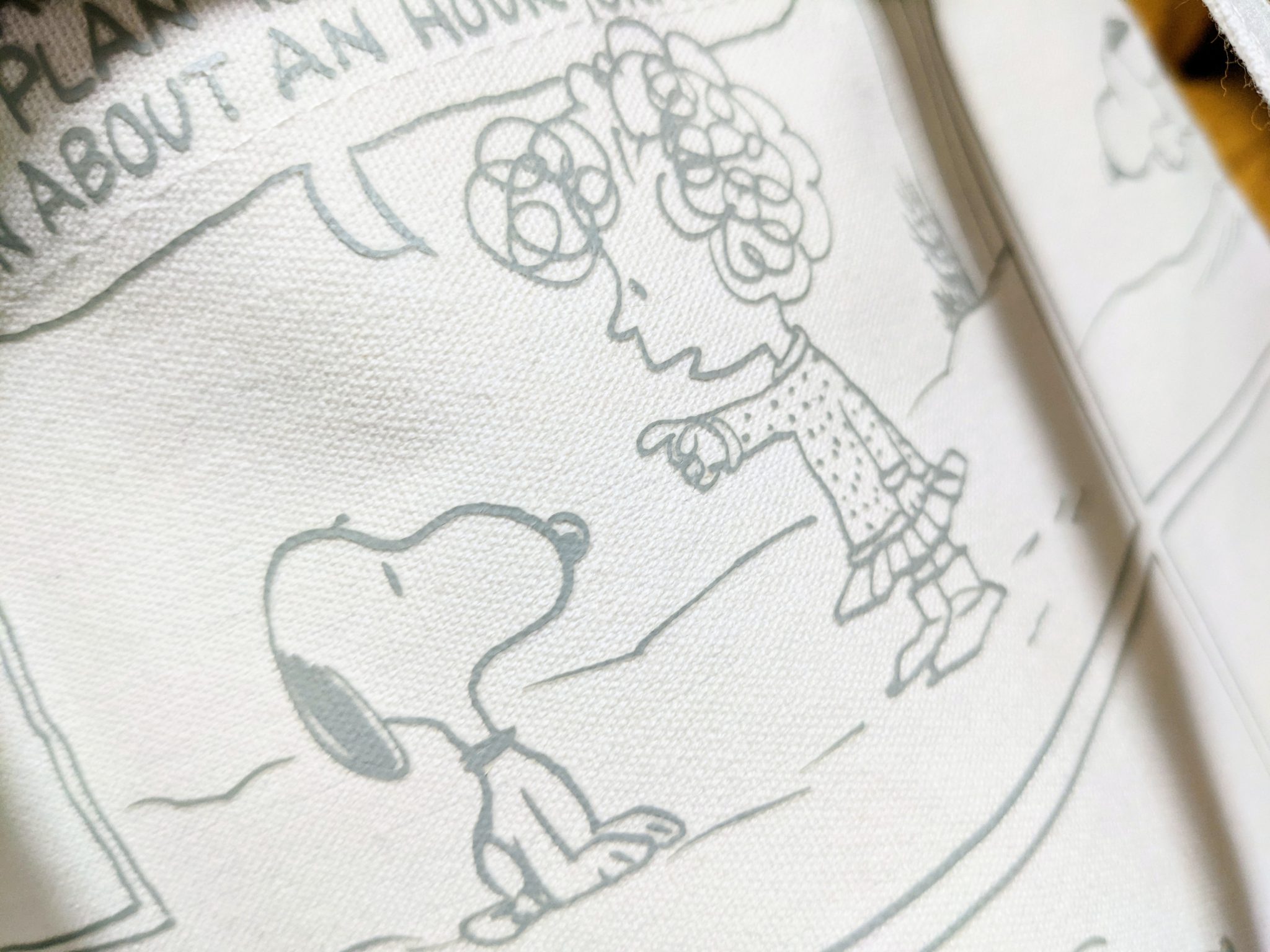 【フラゲレビュー】InRed（インレッド）2022年11月号《特別付録》スヌーピー インテリア収納もできる！ 大きめバケツ型バッグ | 付録ライフ