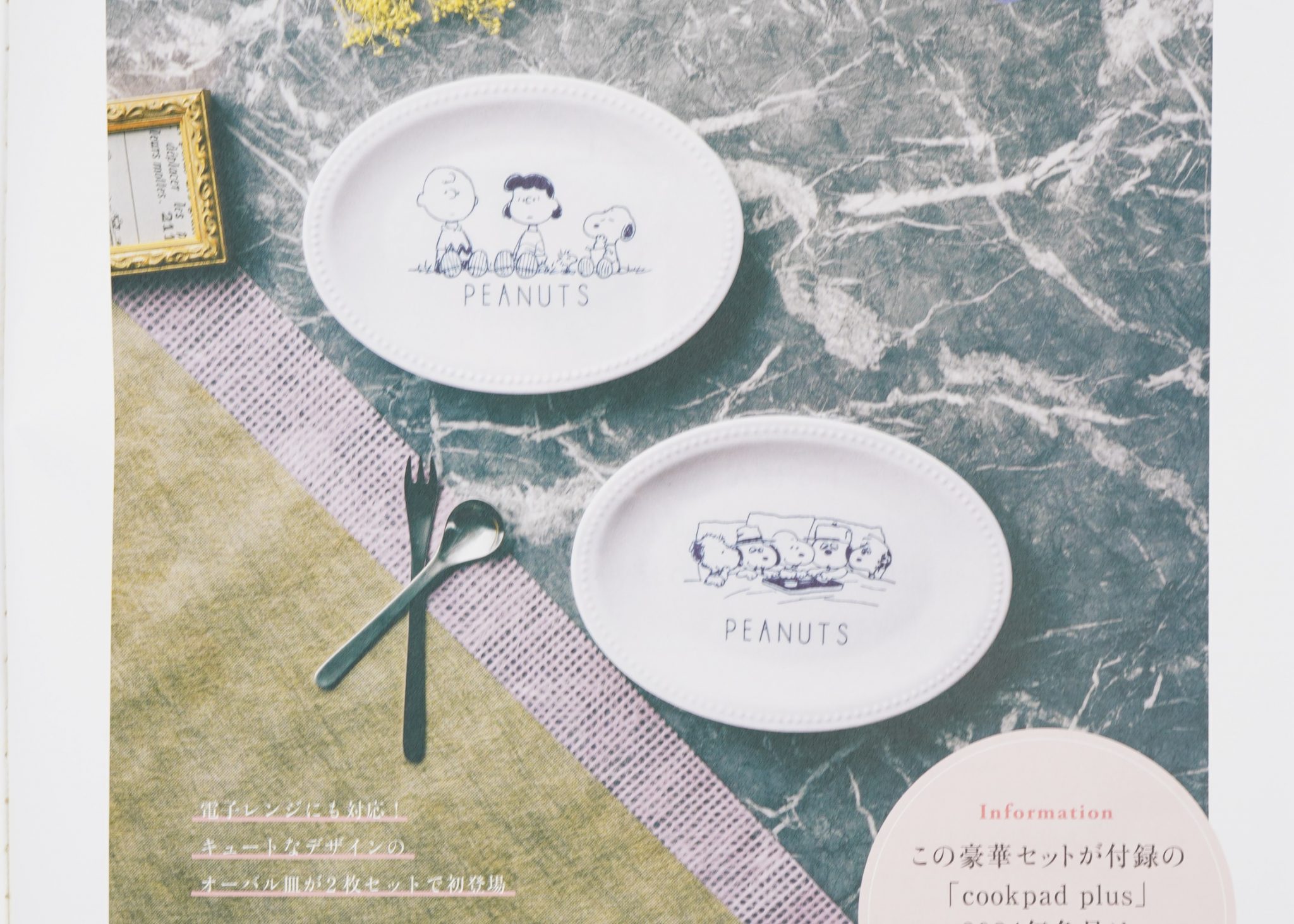 【次号予告】cookpad plus(クックパッド プラス) 2024年 冬号《特別付録》スヌーピー 磁器のオーバル皿 豪華2枚セット | 付録ライフ